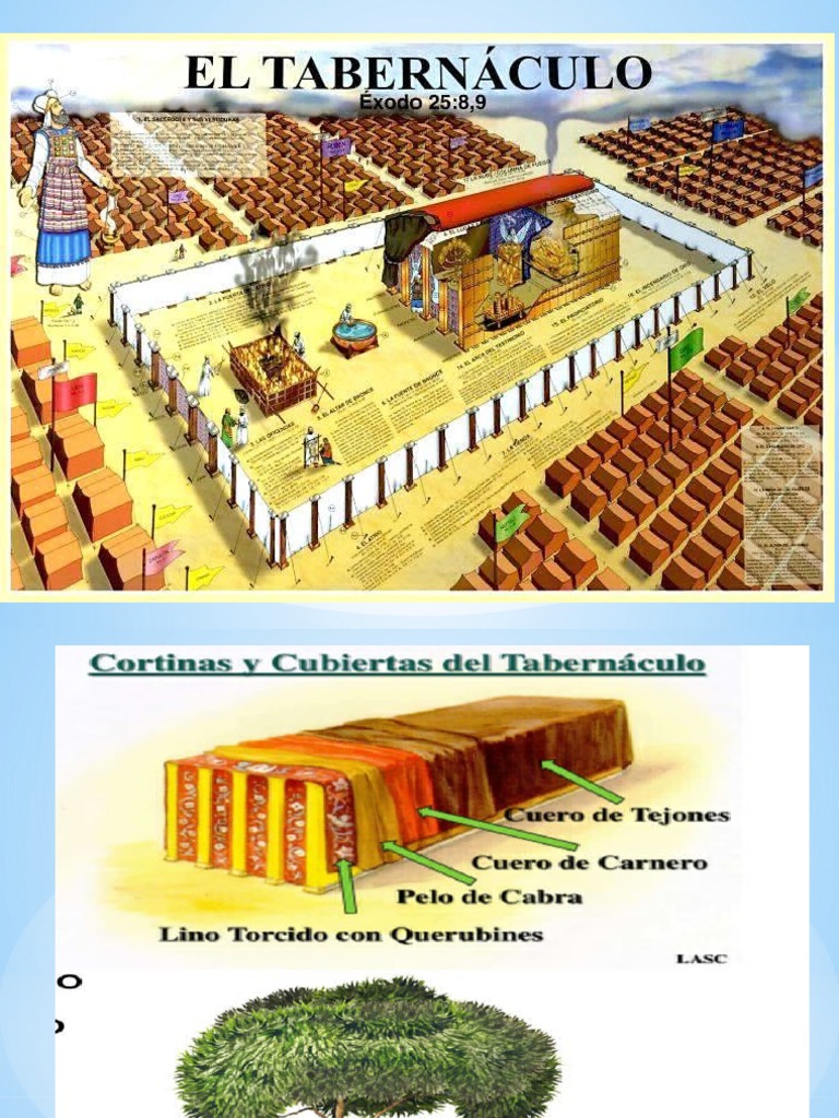 Estudio El Tabernáculo | PDF | Cristo (título) | Arca de la Alianza