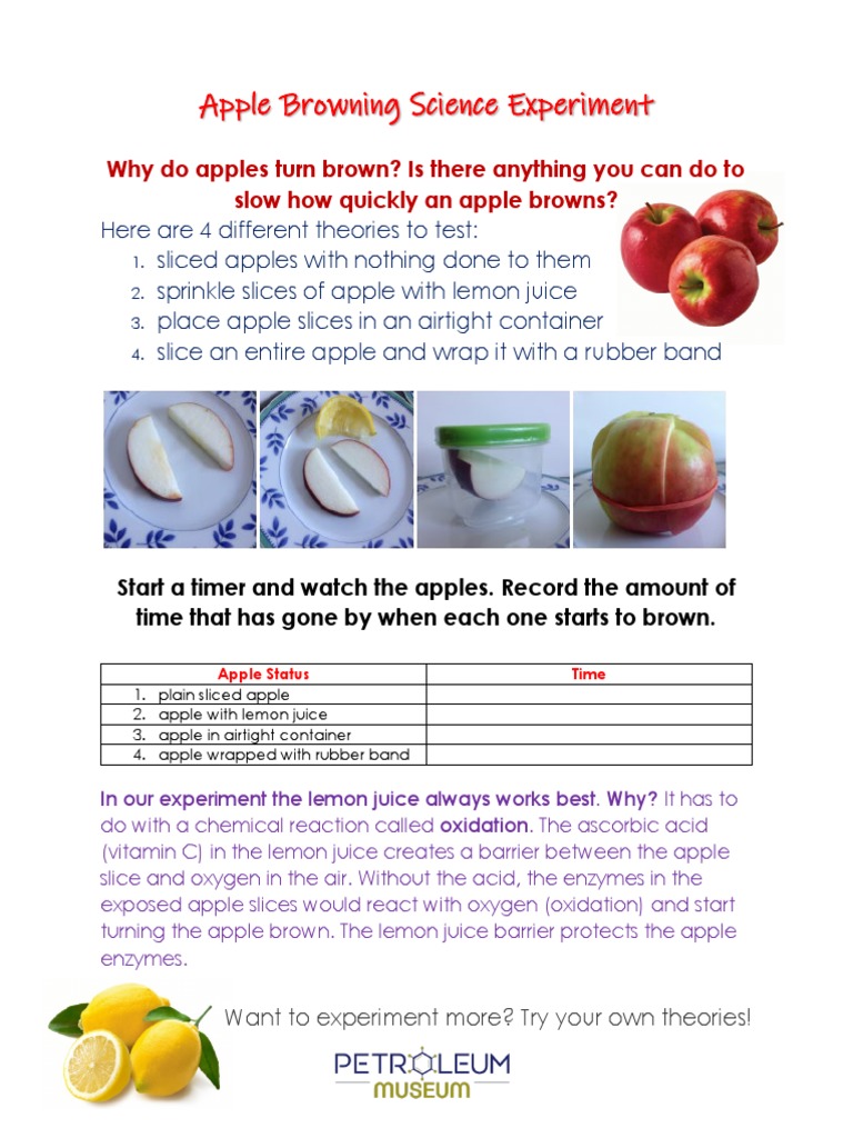 Apple Browning Science Experiment | PDF