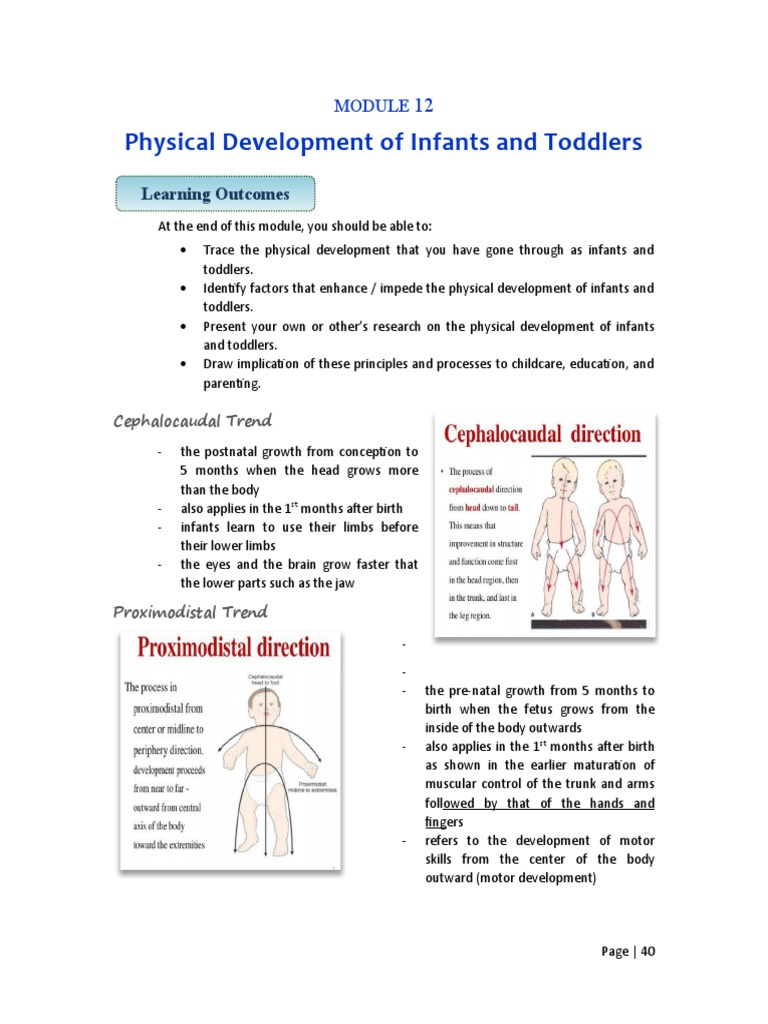 Infant and Toddler Physical Development | PDF