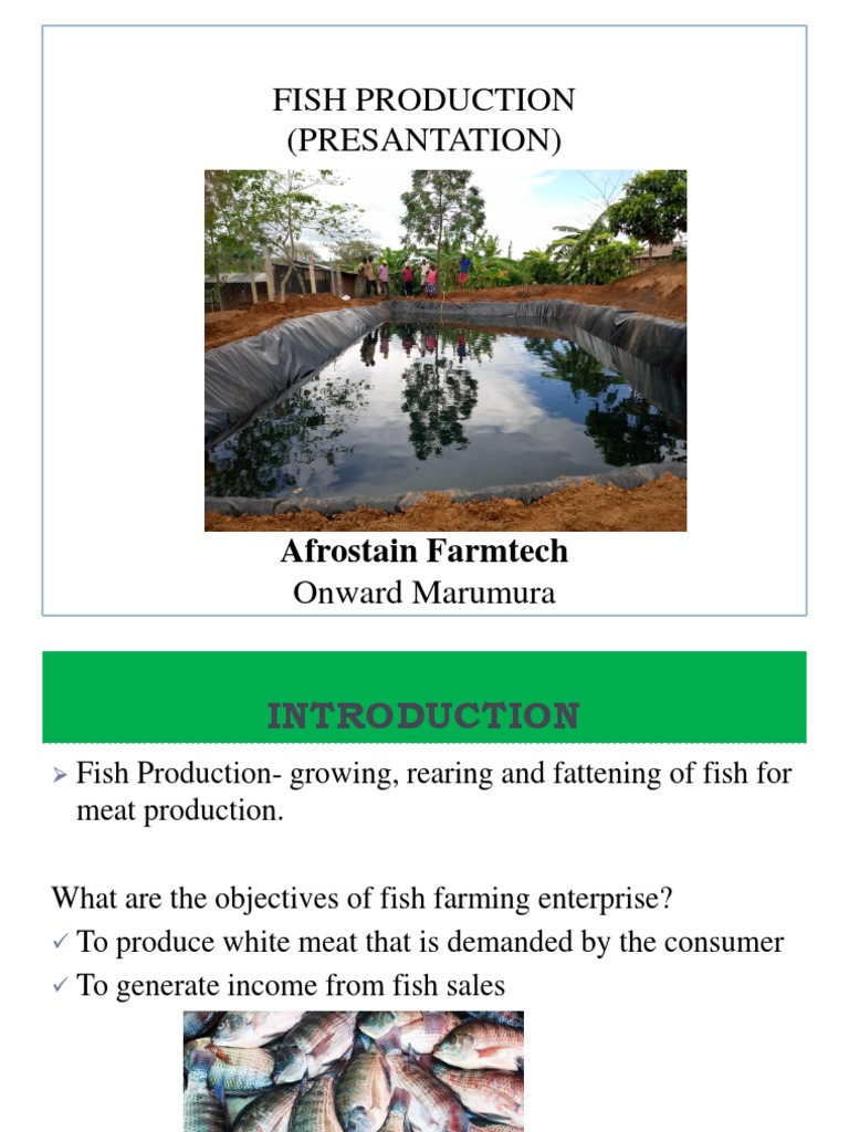 Fish Production - Afrostain Farmtech | PDF