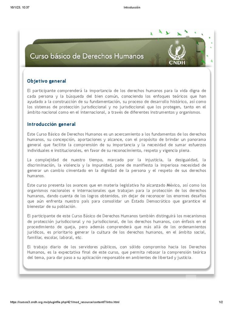 Curso Básico de Derechos Humanos | PDF | Derechos humanos | Principios ...