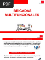 Brigada de Búsqueda y Rescate: Funciones y Técnicas | PDF | Primeros auxilios