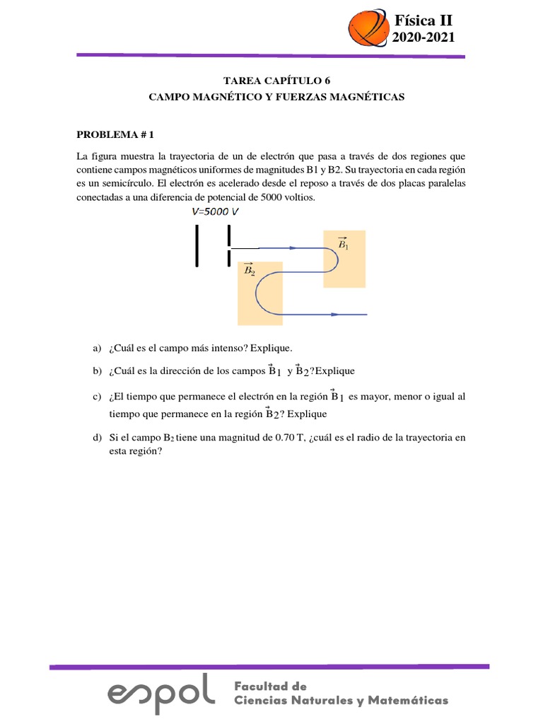 Tarea Cap 6 | PDF | Campo magnético | Corriente eléctrica