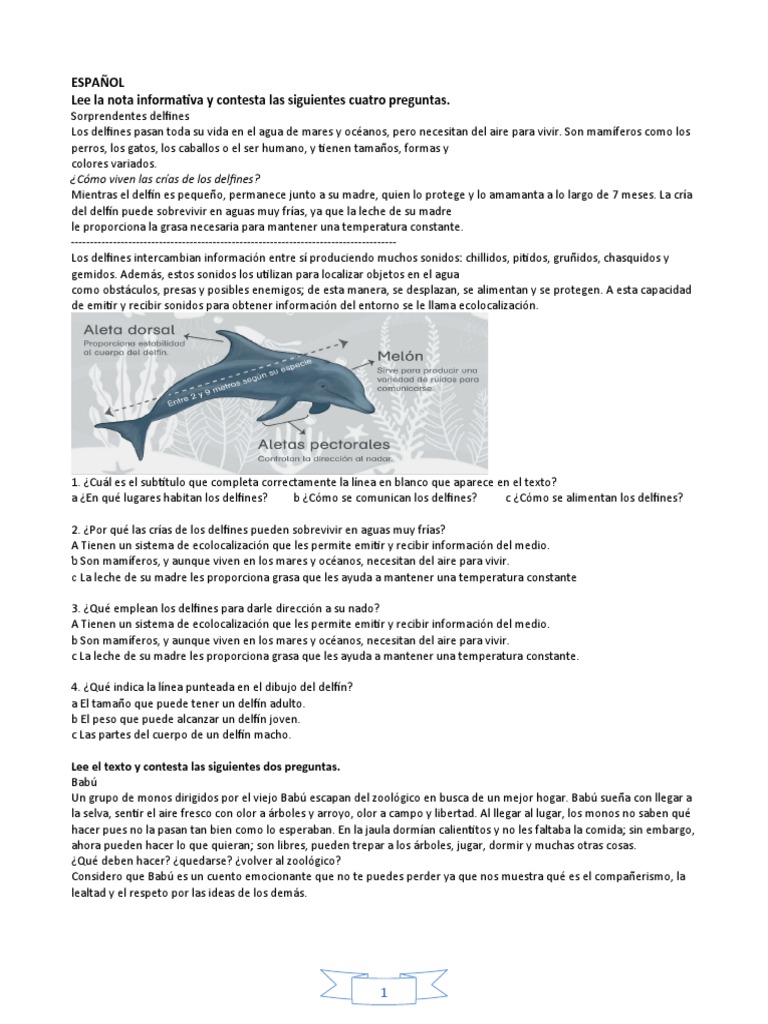 Un análisis conciso del contenido y propósito de un texto sobre los ...