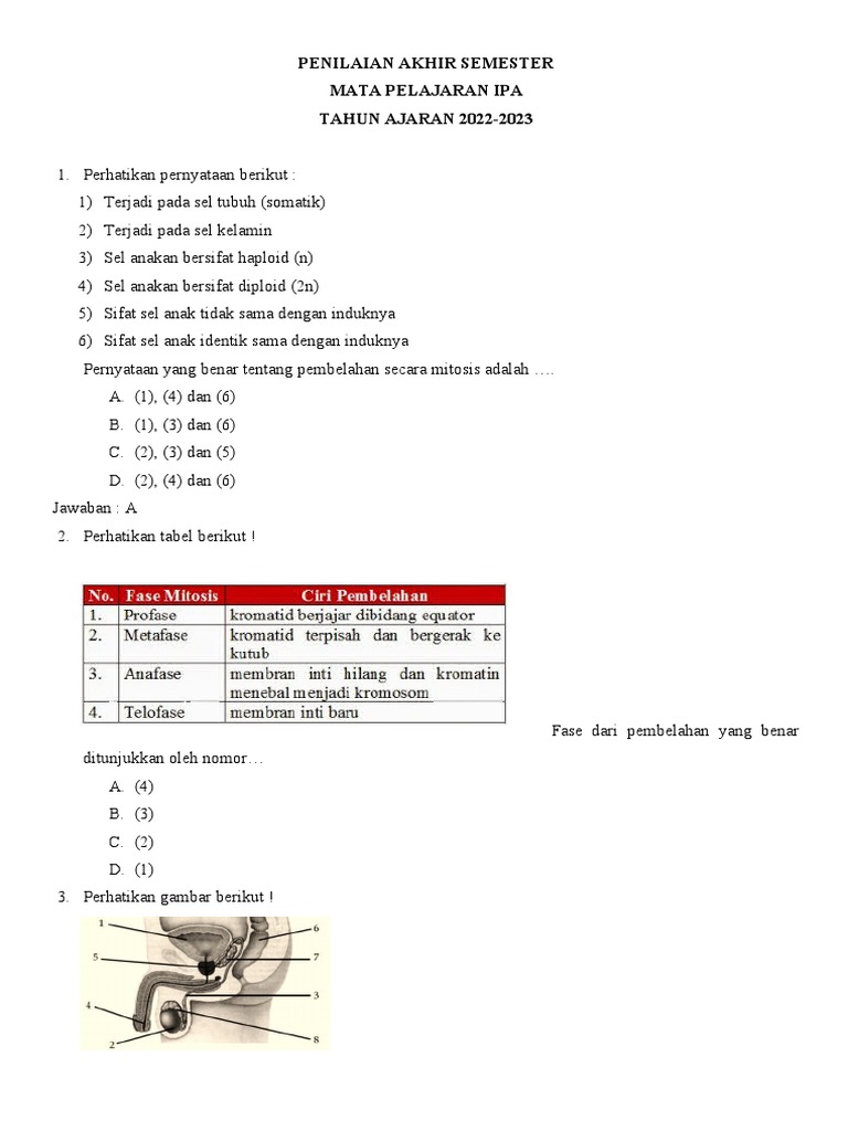 Soal Pas Kelas 9 | PDF