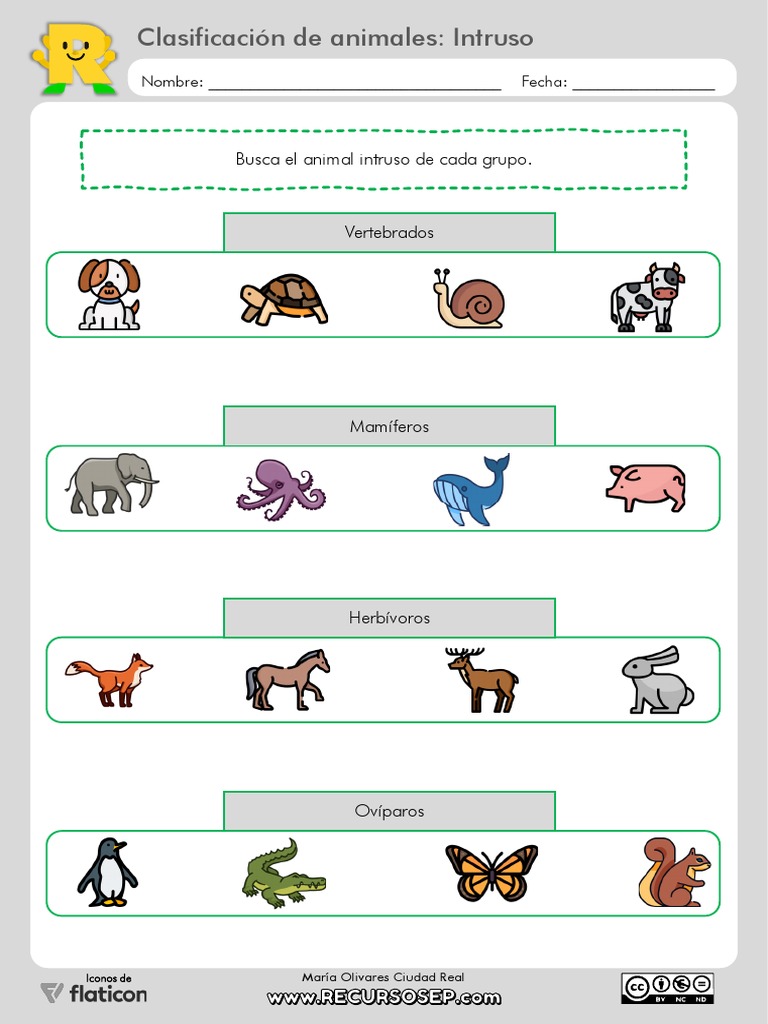 Clasificacion Animales Intruso | PDF