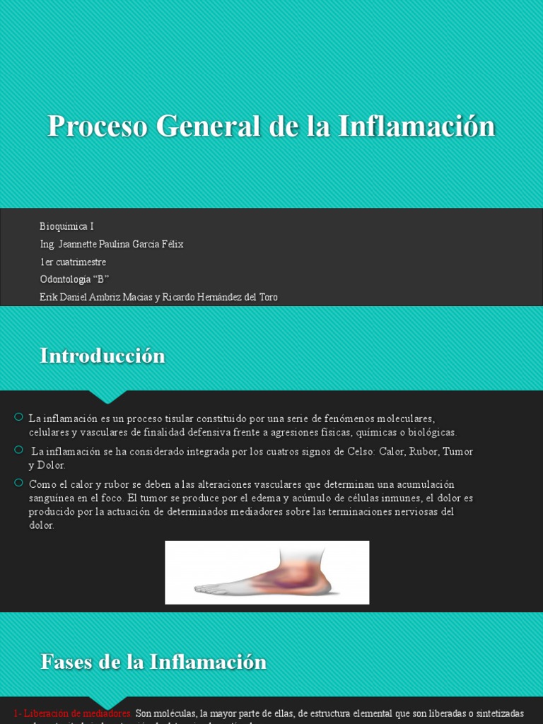 Proceso General de la Inflamación | PDF | Inflamación | Sistema ...