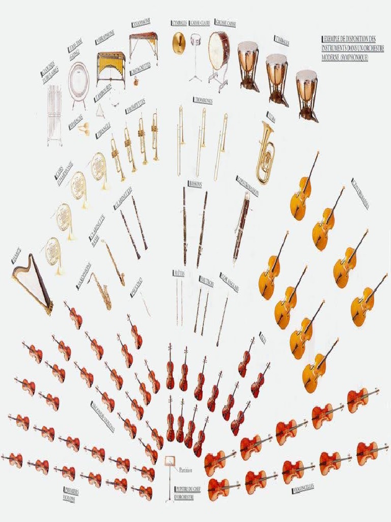 6 Photoc Orchestre Familles Disposition | PDF