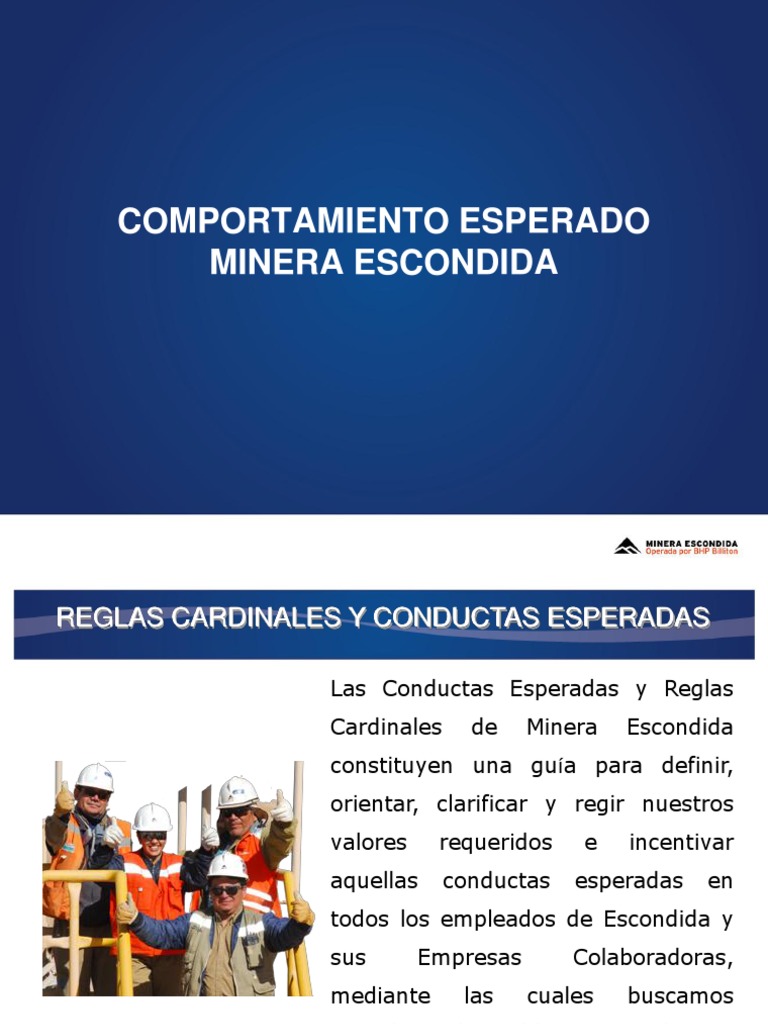 Reglas Cardinales y Conductas Esperadas | PDF