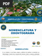 Nomenclatura Dentaria - El Código Internacional (FDI) | PDF | Diente ...