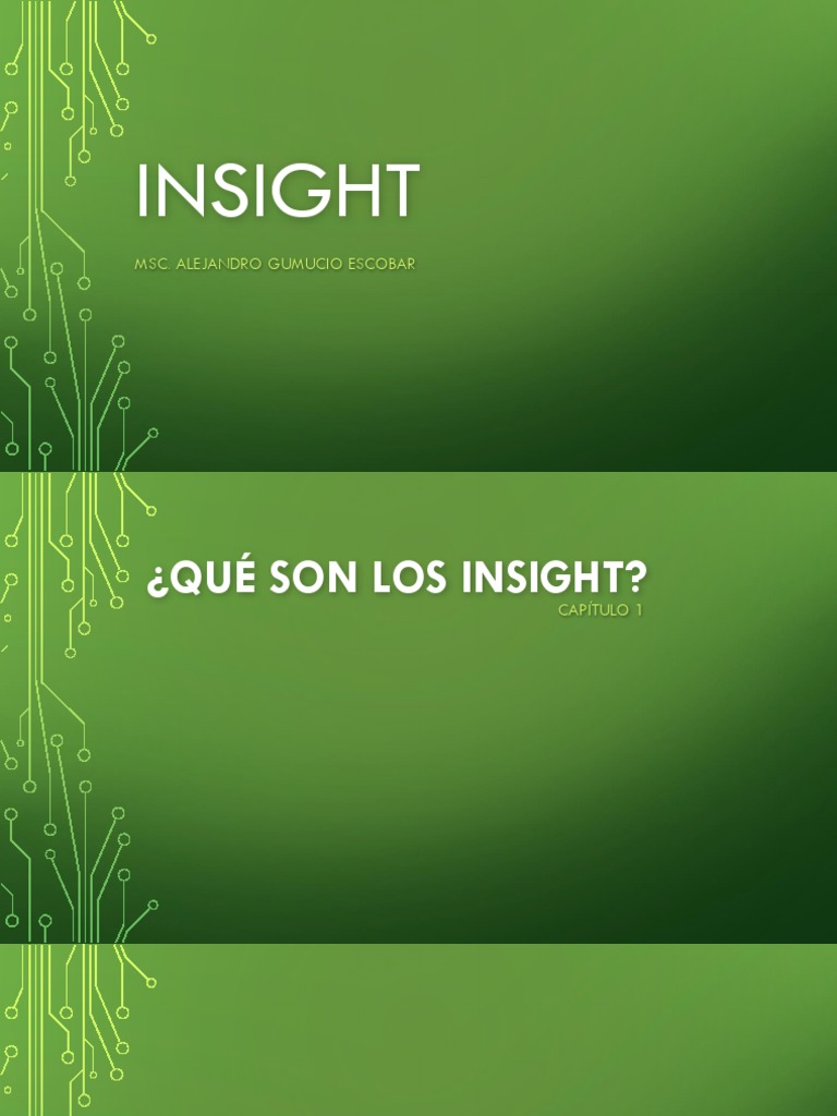 Capitulo 1 - Que Son Los Insight | PDF | Marketing | Producto (Negocio)