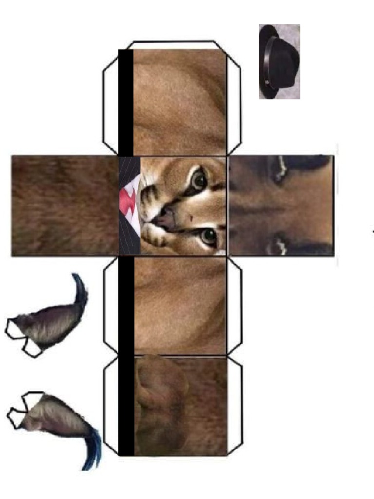 Ploppa Muy Fino | PDF