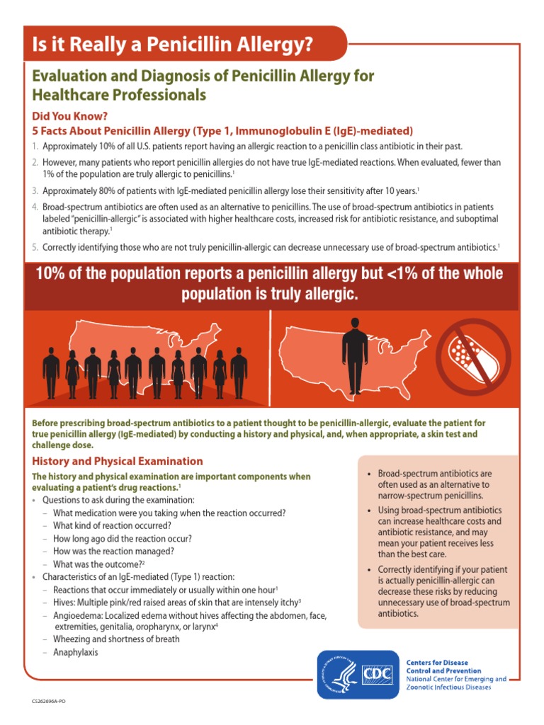 Penicillin Factsheet | PDF | Allergy | Penicillin