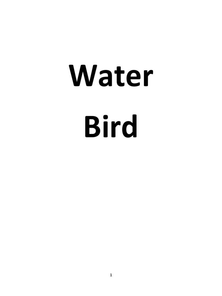 Water Bird | PDF