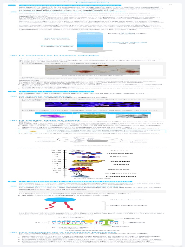 Une Structure Complexe: La Cellule - 1ère - Cours Enseignement ...