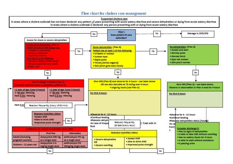 Appendix 11. Flow Chart For Cholera Case Management | Download Free PDF ...
