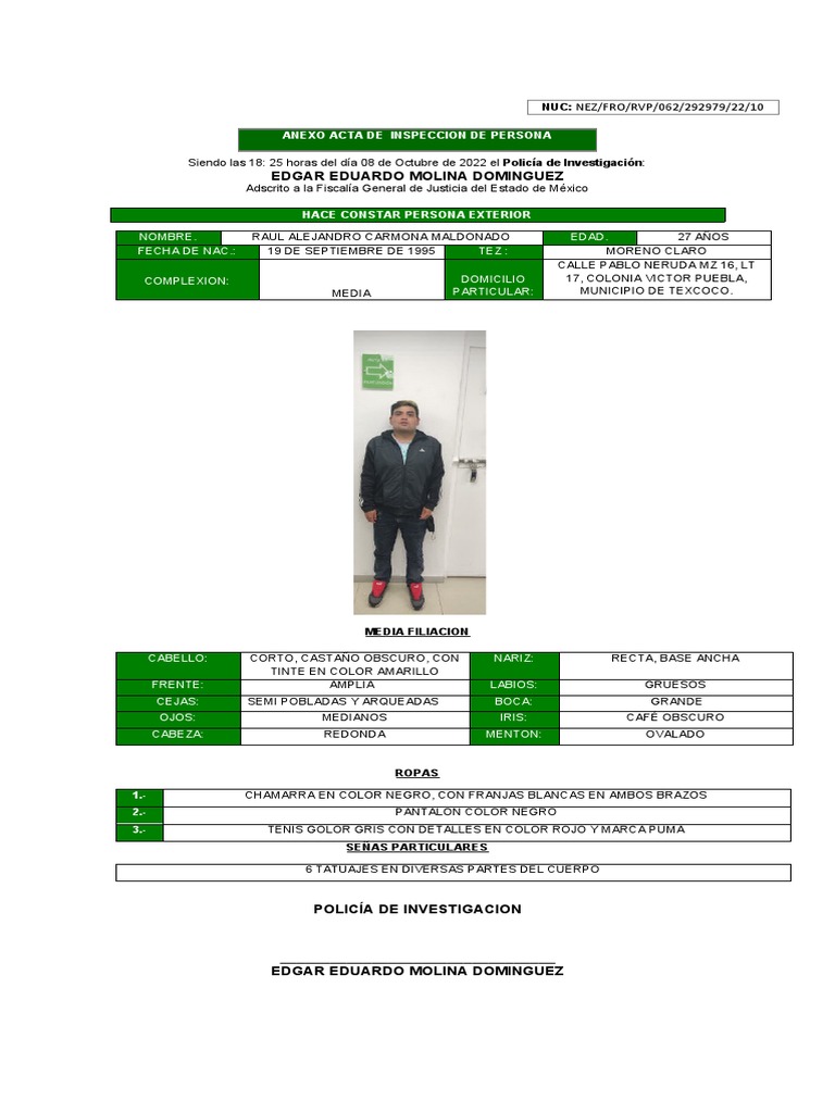 09 Inspeccion de Persona Raul Alejandro | PDF