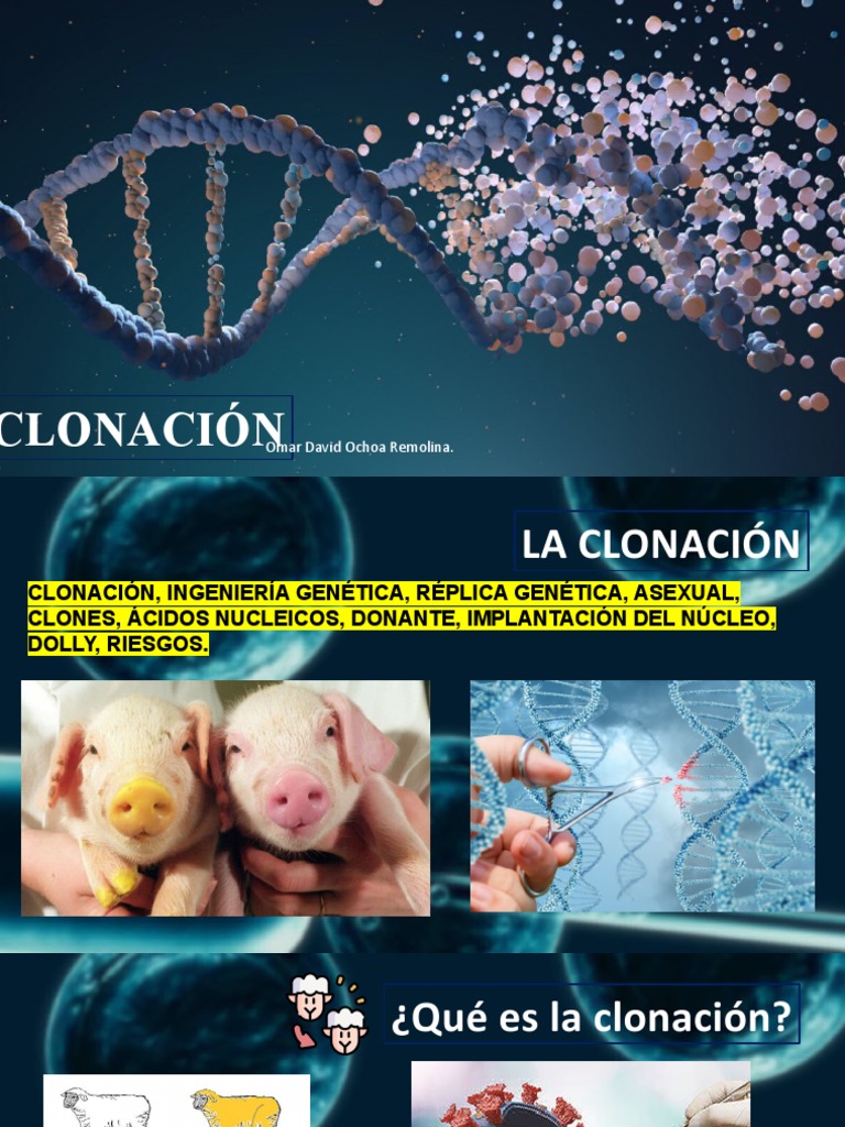 Clonación | PDF