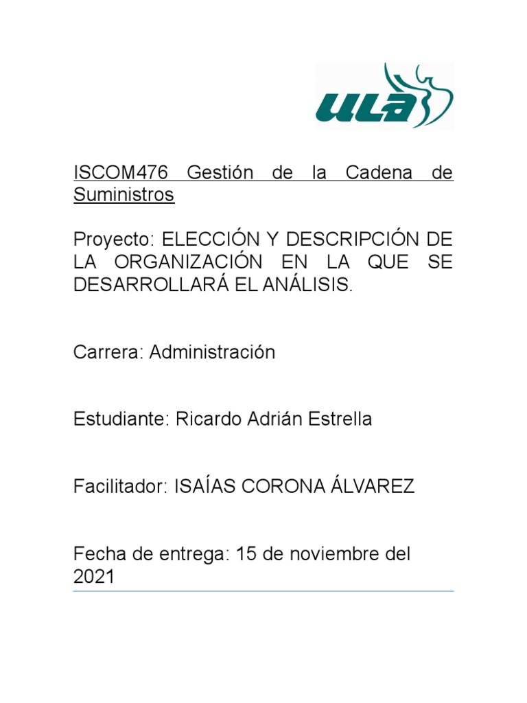 PP A1 Adrián Estrella | PDF | Logística | Business