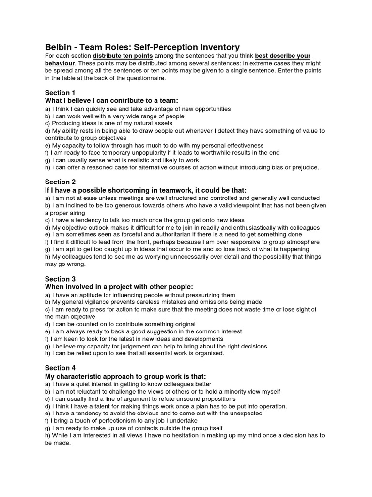 Belbin Self Perception Inventory | PDF
