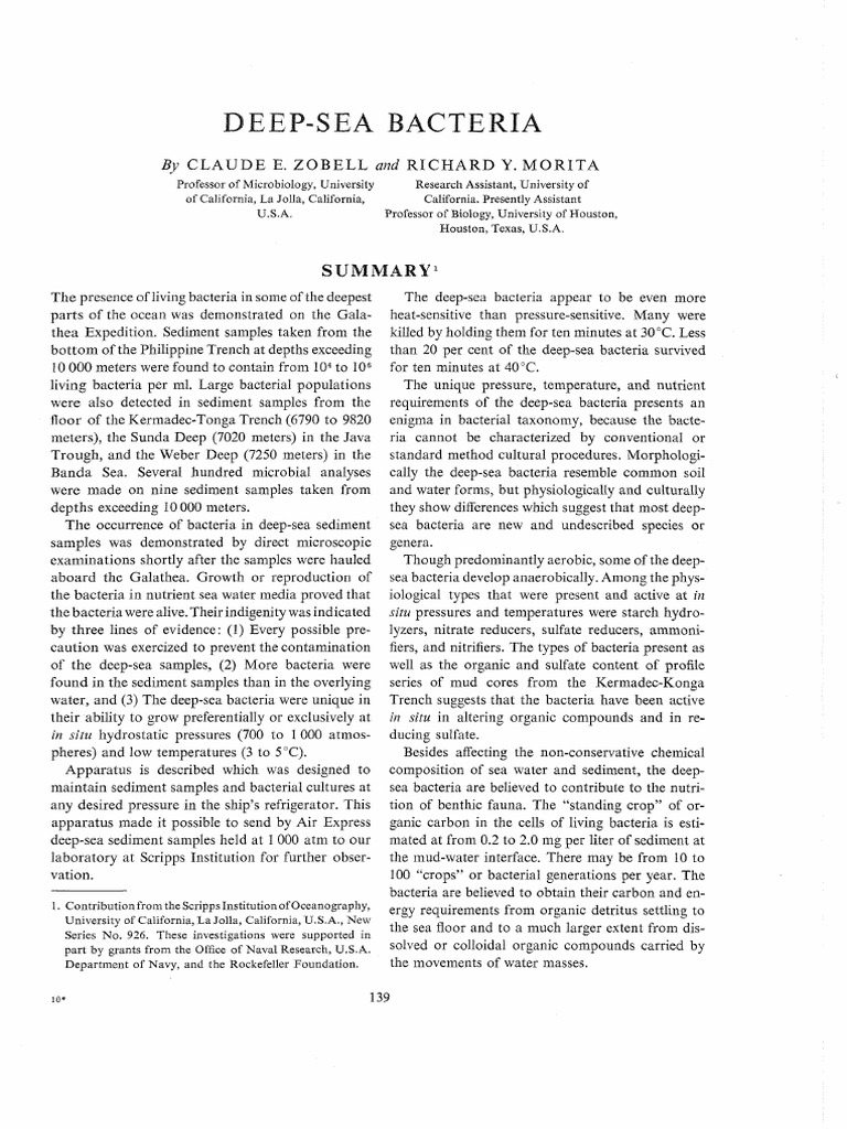 Deep-Sea Bacteria: Discovery and Analysis | PDF | Bacteria | Deep Sea