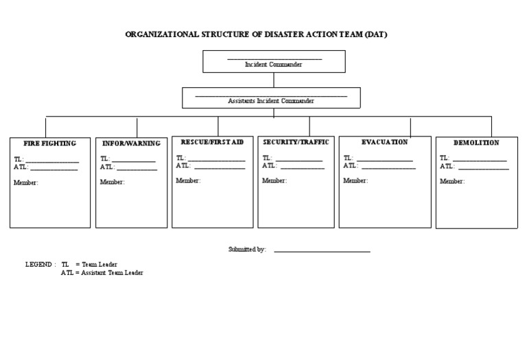 Disaster Action Team Structure | PDF