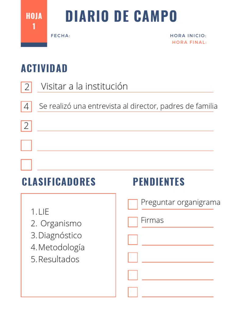 Formato Diario de Campo | PDF