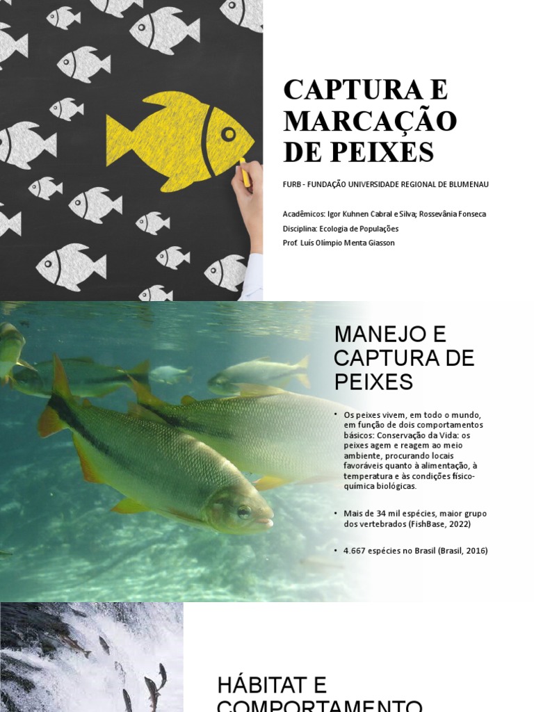 Captura e Manejo de Peixes | PDF | Peixes | Habitat