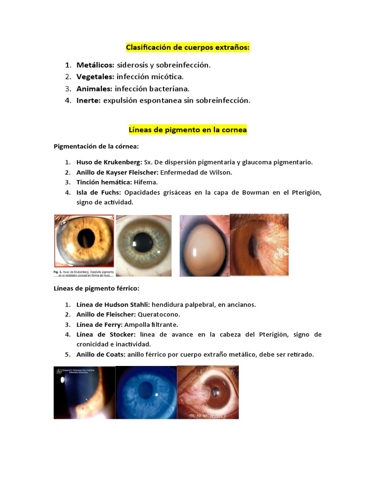 Clasificación de cuerpo extraño y lineas corneales | PDF