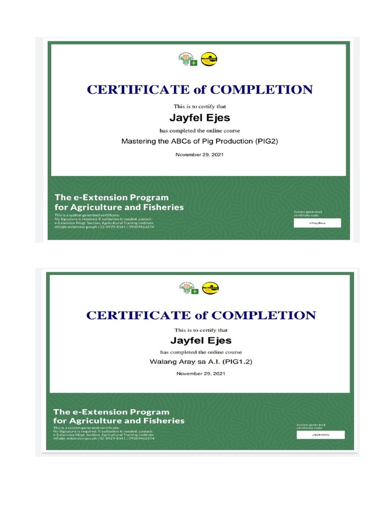 E-Learning Certificate | PDF