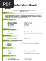 Curriculum Vitae | PDF | Business | Plan de estudios