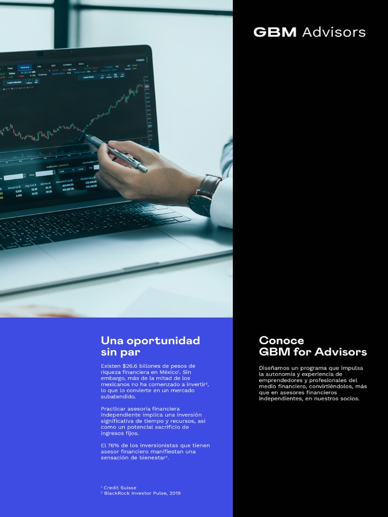 GBM Advisors - One Pager | PDF