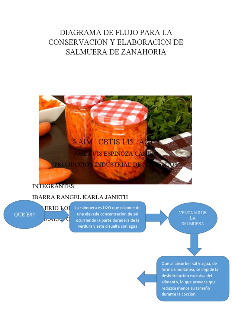DIAGRAMA DE FLUJO PARA LA CONSERVACION Y ELABORACION DE SALMUERA DE ...