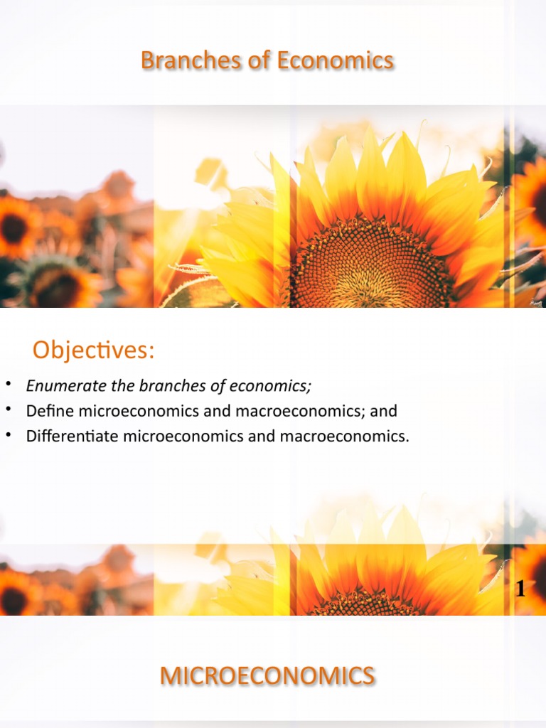 Branches of Economics | PDF | Macroeconomics | Economics