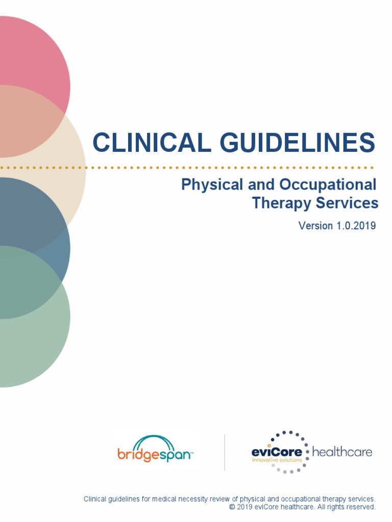 BridgeSpan PTOT Guidelines V102019 Eff03012019 Pub10152018 | PDF ...