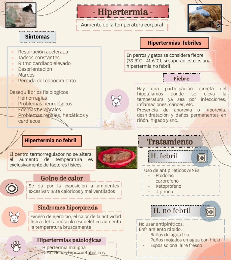 Hipertermia Presentacion | PDF