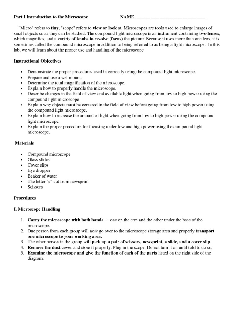 Microscope Lab - SKIN AND ONION CELLS | PDF | Microscope | Glass ...