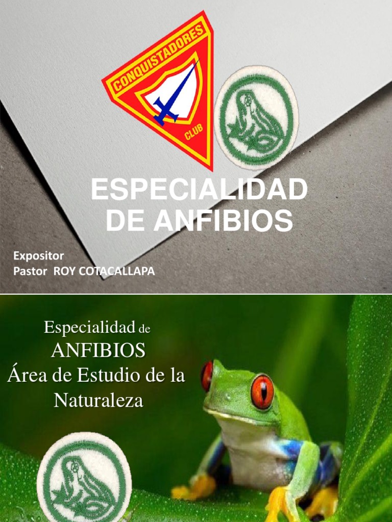 Anfibios MPS | PDF