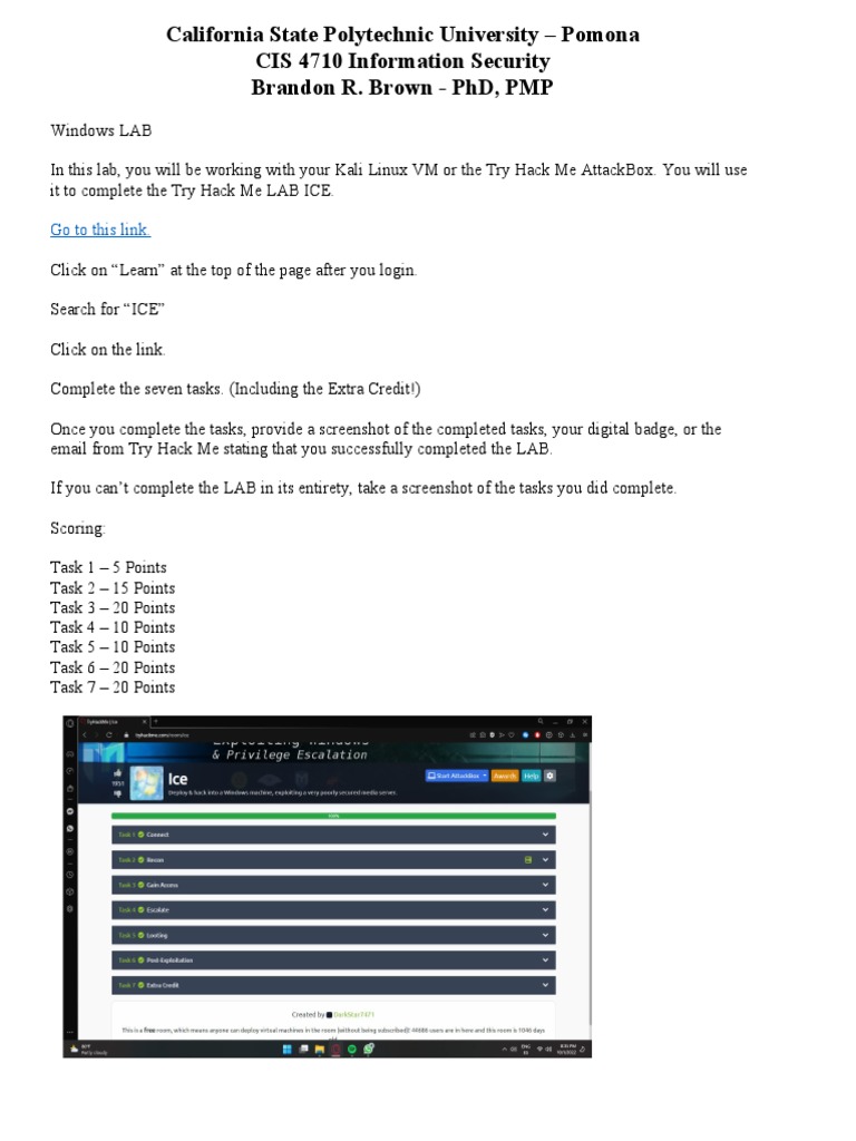 CIS 4710 Windows ICE Lab | PDF