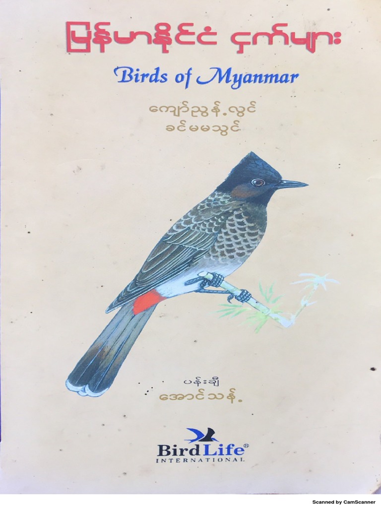 Birds of Myanmar, Kyaw Nyunt Lwin, Khin Ma Ma Thwin | PDF