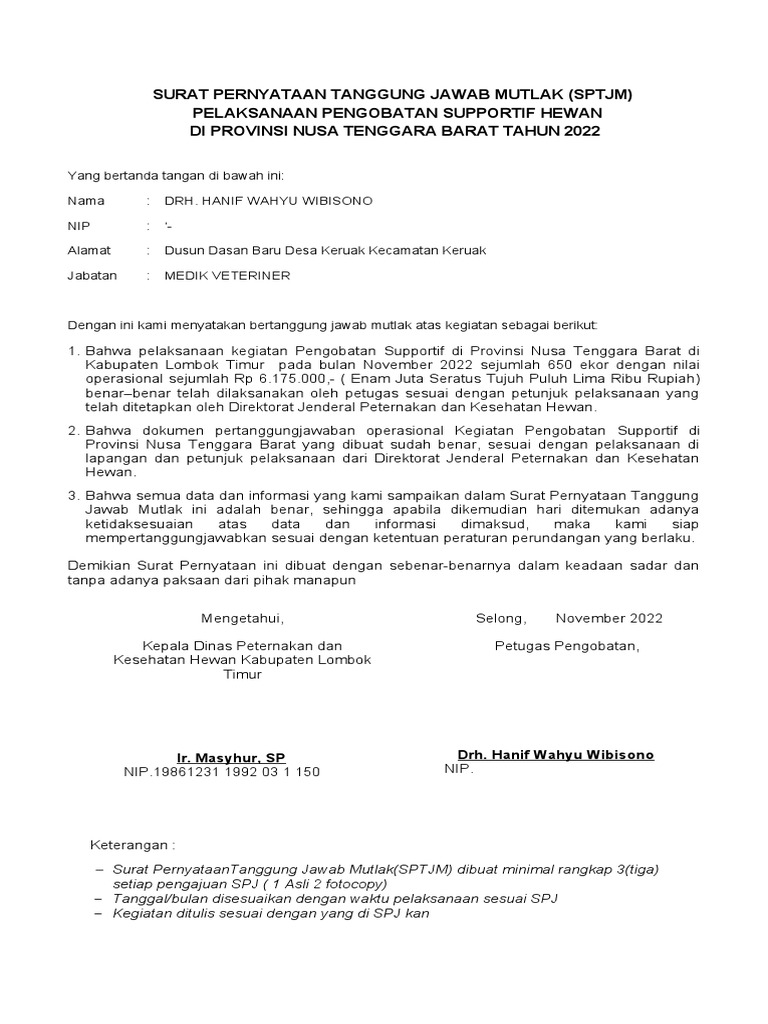 Surat Pertanggung Jawaban Mutlak Pengobatan Supportif | PDF | Ilmu ...