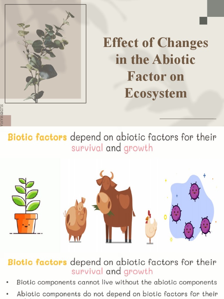 G7 Effect of Changes in The Abiotic Factor On Ecosystem | PDF | Plants ...