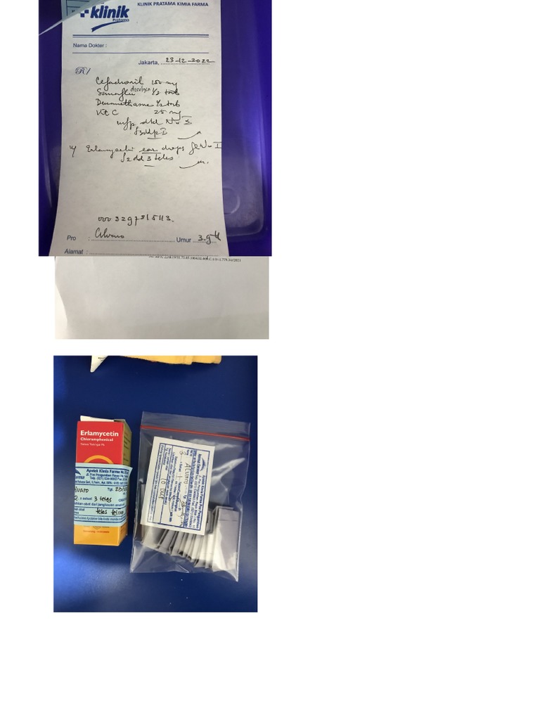 Portofolio Pkpa | PDF