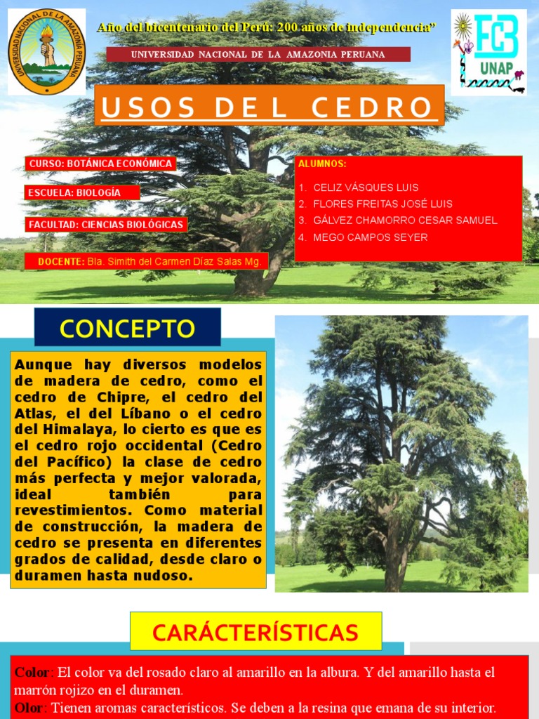 Utilidades Del Cedro - Cesar Galvez - Seyer Mego - Jose Freitas - Luis Celis | PDF | Aislamiento ...