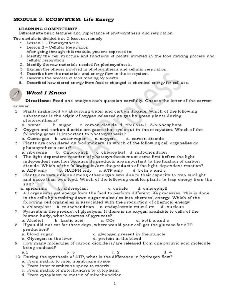Week 9 - Photosynthesis | PDF | Photosynthesis | Cellular Respiration