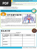 Life Sciences GR 10 Worksheet | PDF | Artery | Heart