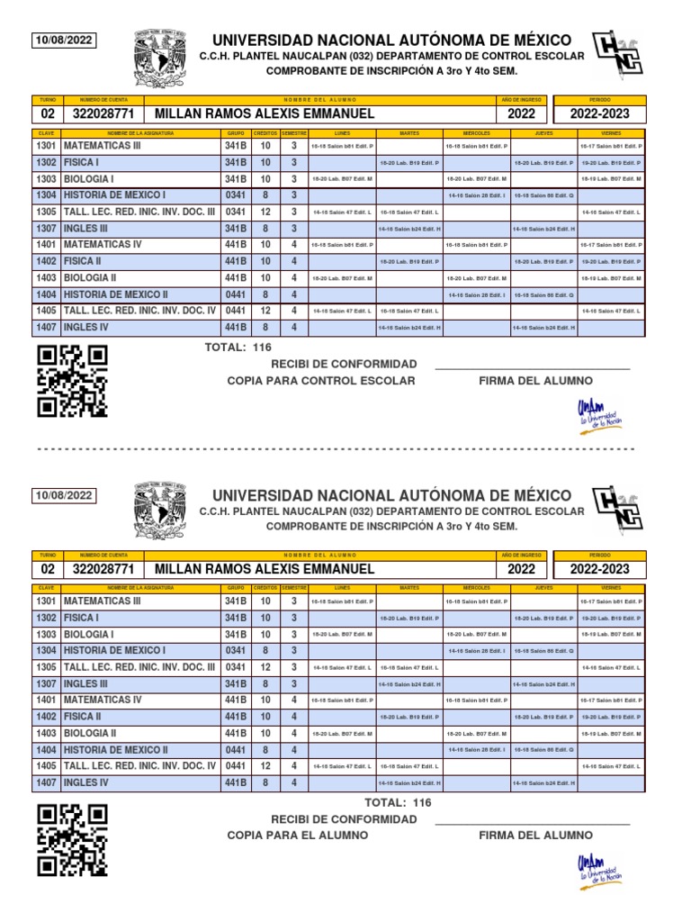 Tira de Materias | PDF