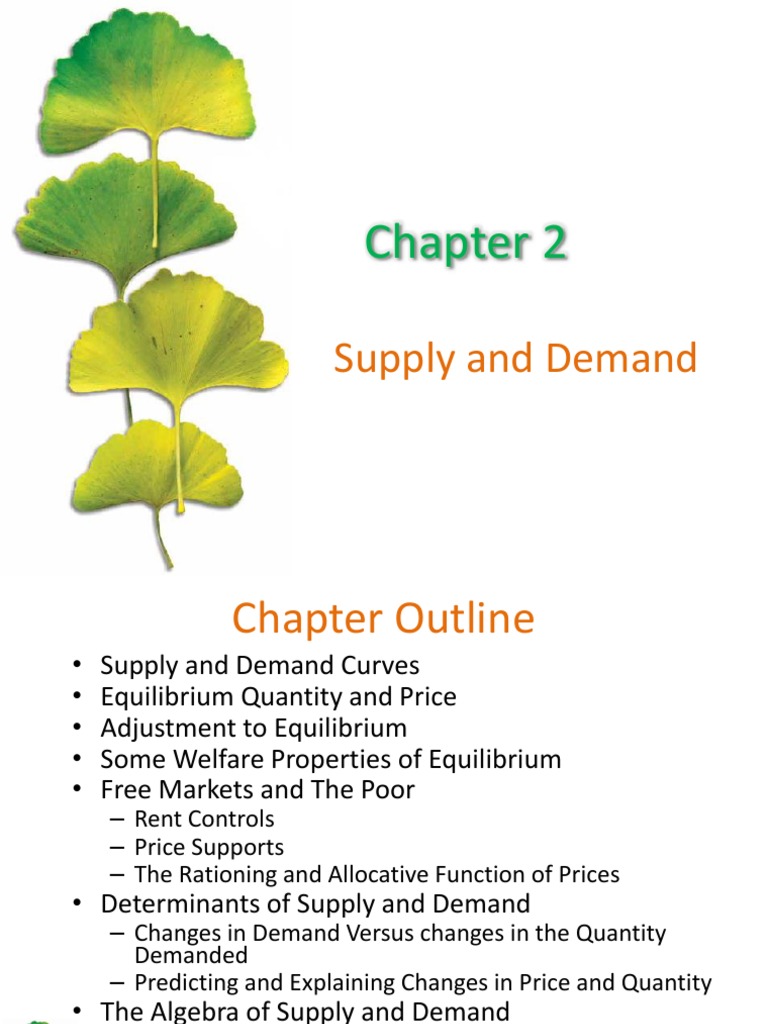 2 Frank Chapter02 Review | PDF