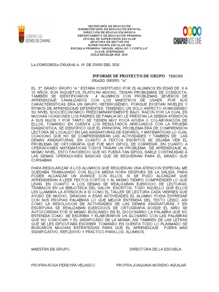 Informe Final Gupo 3a 2020 | PDF | Educación primaria | Ciencia cognitiva