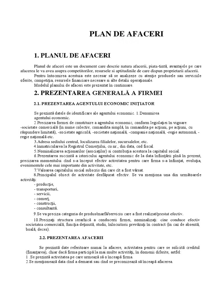 Plan de Afacere Antreprenoriala | PDF